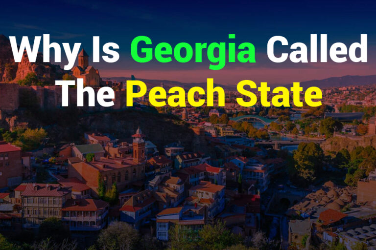 Why Is Georgia Called the Peach State? Explore Its Sweet History - The ...